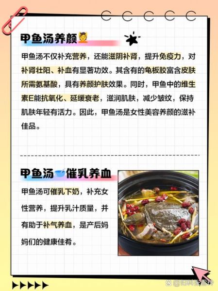 甲鱼汤怎么炖_甲鱼汤炖多久才营养-第1张图片-山城妙识