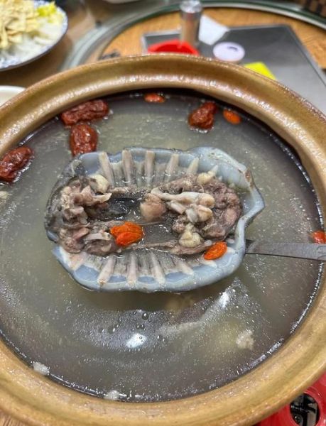 甲鱼汤怎么炖_甲鱼汤炖多久才营养-第3张图片-山城妙识