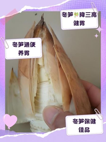 冬笋的营养价值_冬笋的功效与作用-第1张图片-山城妙识