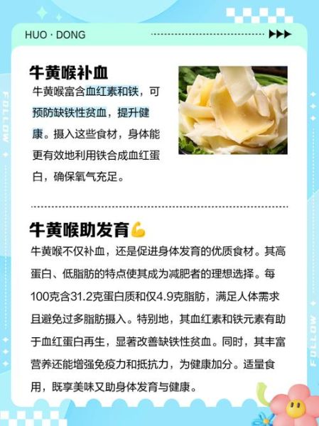 牛黄喉是哪个部位_牛黄喉和牛心管一样吗-第1张图片-山城妙识 牛黄喉是哪个部位_牛黄喉和牛心管一样吗-第1张图片-山城妙识