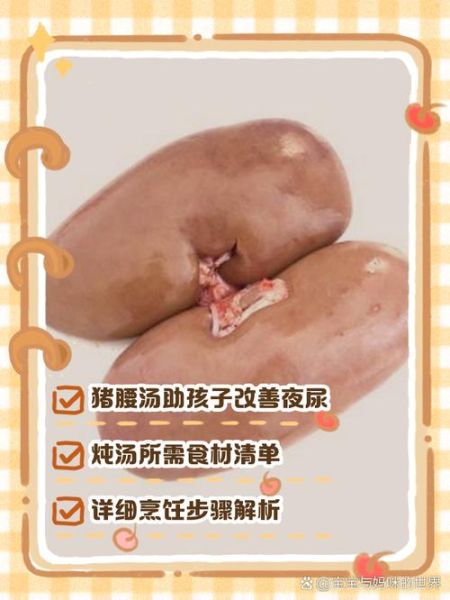 猪腰子炖汤给小孩吃怎么做_猪腰子汤适合多大的孩子-第1张图片-山城妙识 猪腰子炖汤给小孩吃怎么做_猪腰子汤适合多大的孩子-第1张图片-山城妙识