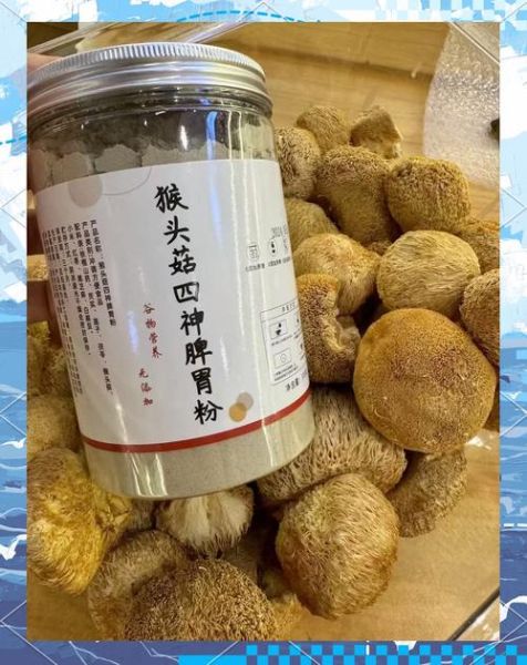 猴头菇粉怎么吃_猴头菇粉的功效与作用-第3张图片-山城妙识