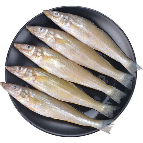 沙丁鱼刺多吗_小孩能吃吗-第2张图片-山城妙识 沙丁鱼刺多吗_小孩能吃吗-第2张图片-山城妙识