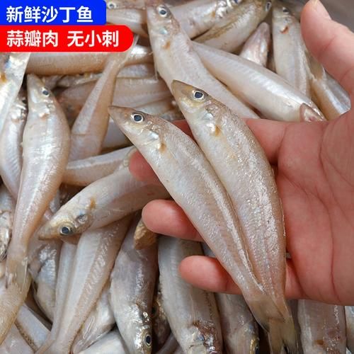 沙丁鱼刺多吗_小孩能吃吗-第1张图片-山城妙识 沙丁鱼刺多吗_小孩能吃吗-第1张图片-山城妙识