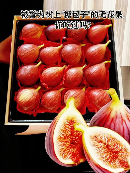 新鲜无花果怎么吃_无花果可以带皮吃吗-第2张图片-山城妙识 新鲜无花果怎么吃_无花果可以带皮吃吗-第2张图片-山城妙识