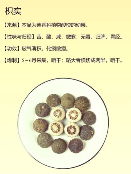 枳壳和枳实的功效区别_哪个更适合调理脾胃-第1张图片-山城妙识 枳壳和枳实的功效区别_哪个更适合调理脾胃-第1张图片-山城妙识