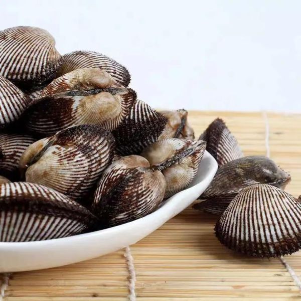 毛蚶子怎么清洗_毛蚶子蒸多久才熟-第2张图片-山城妙识 毛蚶子怎么清洗_毛蚶子蒸多久才熟-第2张图片-山城妙识