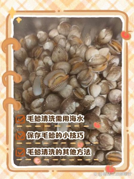 毛蚶子怎么清洗_毛蚶子蒸多久才熟-第1张图片-山城妙识 毛蚶子怎么清洗_毛蚶子蒸多久才熟-第1张图片-山城妙识