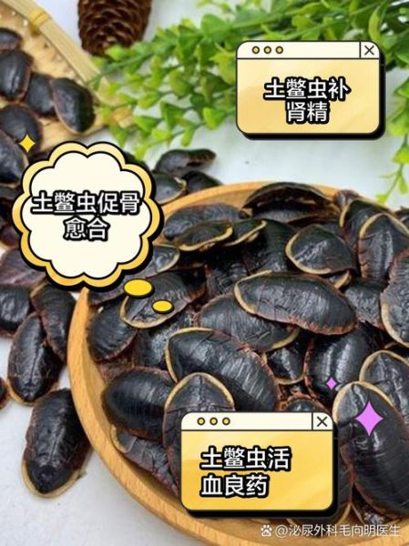 土鳖虫哪些人不能吃_土鳖虫禁忌人群-第2张图片-山城妙识