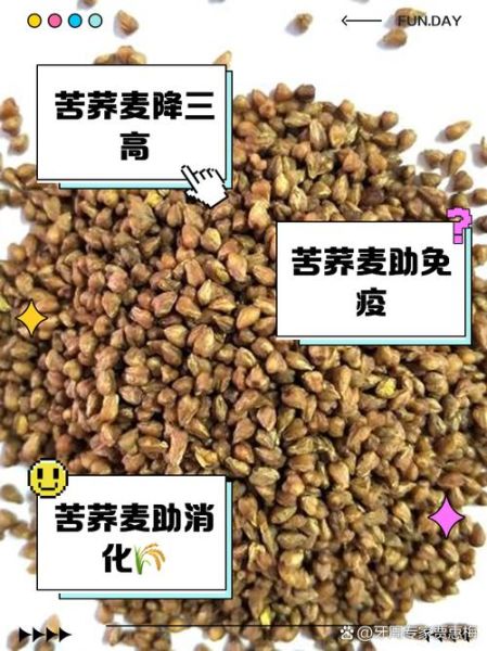 苦荞麦的功效与作用_苦荞麦的禁忌有哪些-第1张图片-山城妙识 苦荞麦的功效与作用_苦荞麦的禁忌有哪些-第1张图片-山城妙识