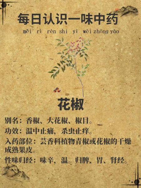 花椒的功效与作用_花椒能去湿气吗-第2张图片-山城妙识