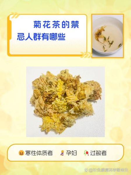 菊花茶功效与禁忌有哪些_适合人群与注意事项-第2张图片-山城妙识