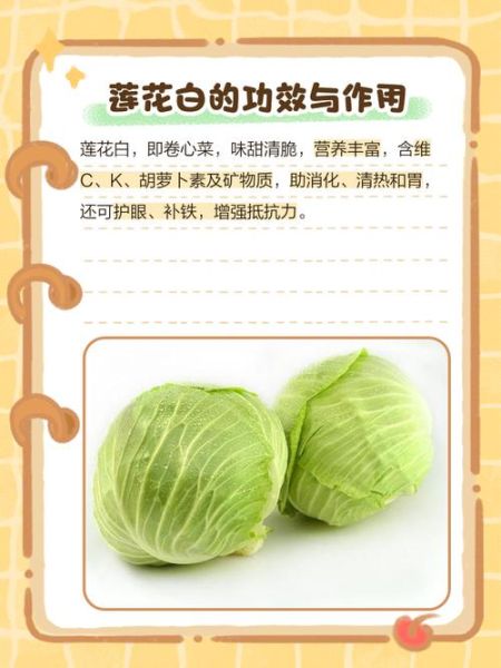 莲花白可以生吃吗_生吃莲花白的好处与风险-第1张图片-山城妙识