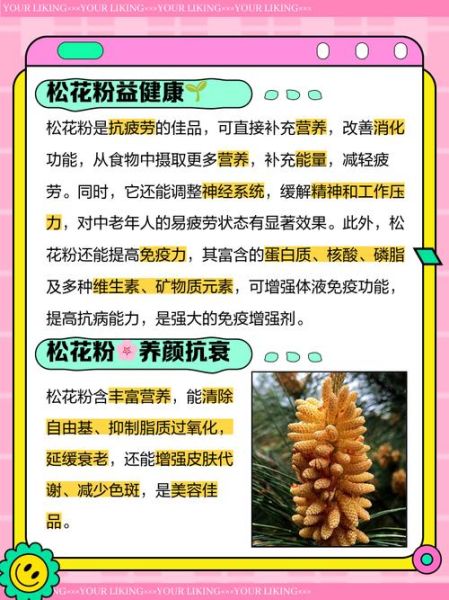 常吃松花粉有什么害处_松花粉副作用有哪些-第1张图片-山城妙识