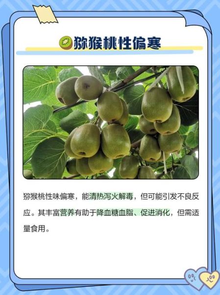 猕猴桃是凉性还是热性_吃猕猴桃会上火吗-第1张图片-山城妙识 猕猴桃是凉性还是热性_吃猕猴桃会上火吗-第1张图片-山城妙识