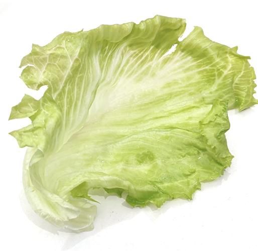 圆生菜怎么做好吃_圆生菜最简单的做法-第2张图片-山城妙识