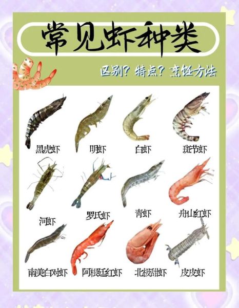 明虾和青虾的区别_哪个更好吃-第2张图片-山城妙识 明虾和青虾的区别_哪个更好吃-第2张图片-山城妙识
