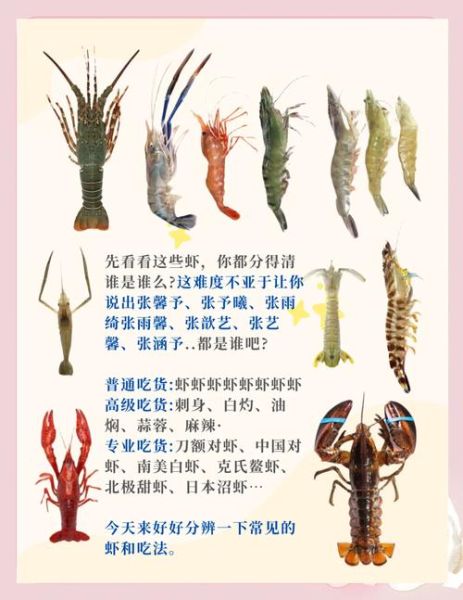 明虾和青虾的区别_哪个更好吃-第3张图片-山城妙识 明虾和青虾的区别_哪个更好吃-第3张图片-山城妙识