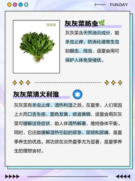灰灰菜图片功效与作用_灰灰菜怎么吃最好-第2张图片-山城妙识 灰灰菜图片功效与作用_灰灰菜怎么吃最好-第2张图片-山城妙识