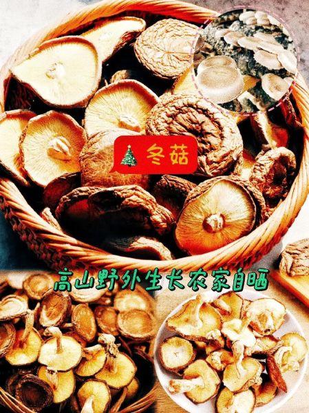 冬菇图片是不是香菇_如何一眼区分两者-第3张图片-山城妙识