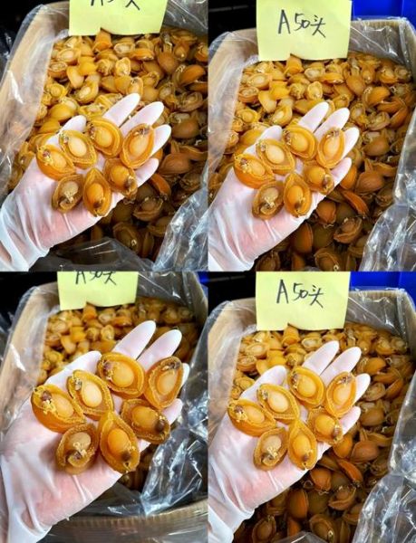 小鲍鱼干怎么泡发_小鲍鱼干泡发多久-第2张图片-山城妙识