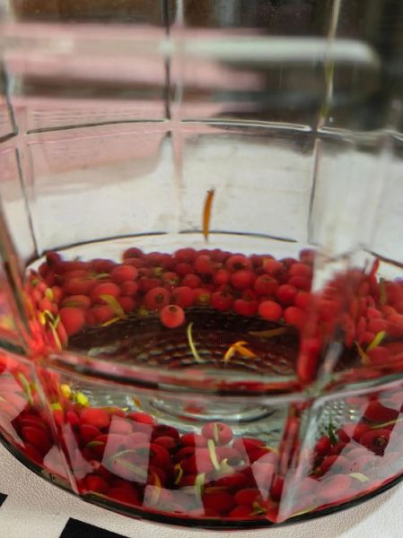 红豆杉果实吃了8颗怎么办_中毒症状多久出现-第2张图片-山城妙识