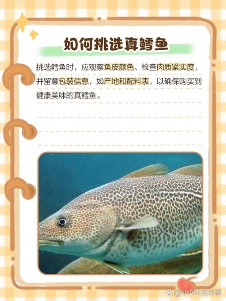 鳕鱼是什么鱼_鳕鱼和三文鱼的区别-第1张图片-山城妙识