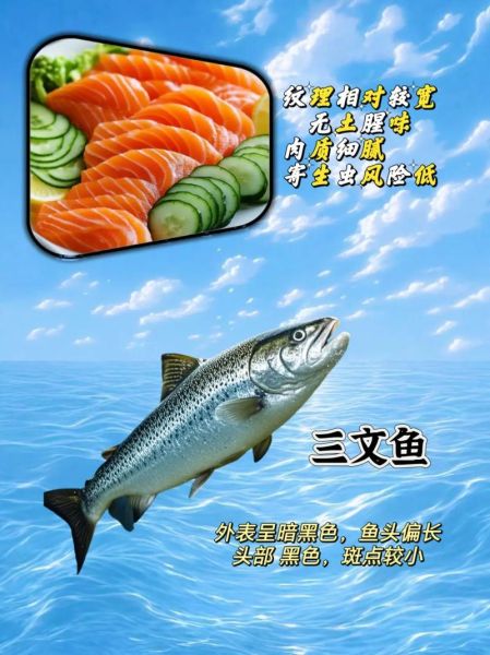 鳕鱼是什么鱼_鳕鱼和三文鱼的区别-第3张图片-山城妙识