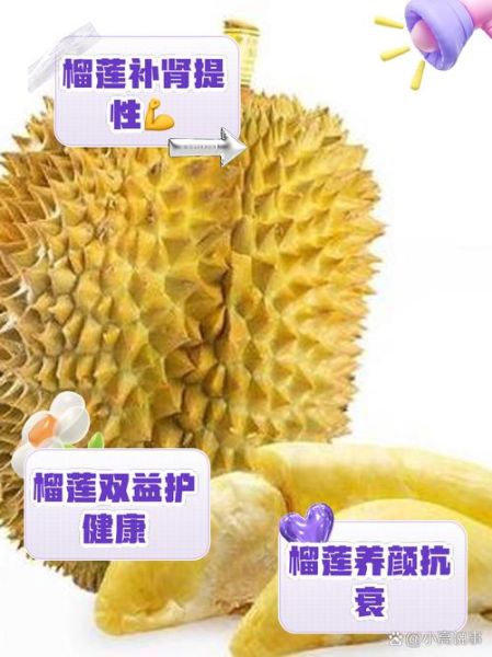 榴莲的功效与作用禁忌_榴莲的产地在哪里-第3张图片-山城妙识 榴莲的功效与作用禁忌_榴莲的产地在哪里-第3张图片-山城妙识