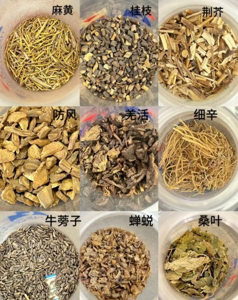 民间中草药1000种图片大全_如何快速识别真假-第1张图片-山城妙识 民间中草药1000种图片大全_如何快速识别真假-第1张图片-山城妙识