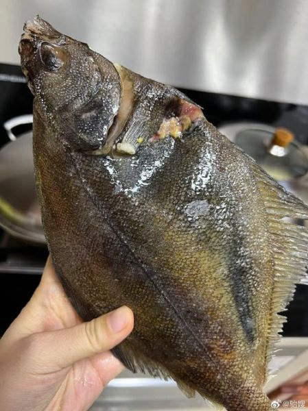 偏口鱼怎么去内脏_偏口鱼清理内脏步骤-第1张图片-山城妙识