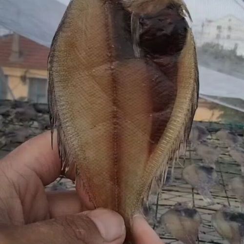 偏口鱼怎么去内脏_偏口鱼清理内脏步骤-第3张图片-山城妙识