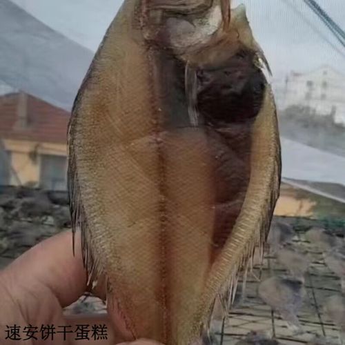 偏口鱼怎么去内脏_偏口鱼清理内脏步骤-第2张图片-山城妙识