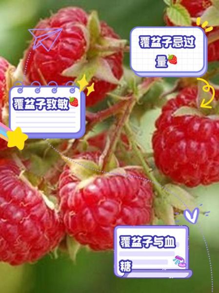 覆盆子多少钱一斤_覆盆子价格为什么波动大-第3张图片-山城妙识