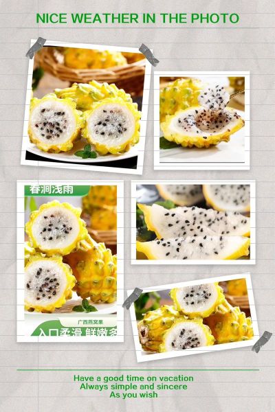 燕窝果怎么吃_燕窝果的功效与作用-第3张图片-山城妙识