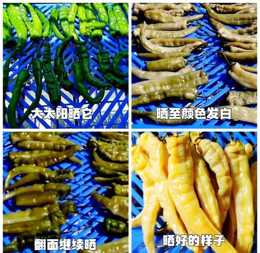 湖南白辣椒怎么做_白辣椒腌制方法-第1张图片-山城妙识