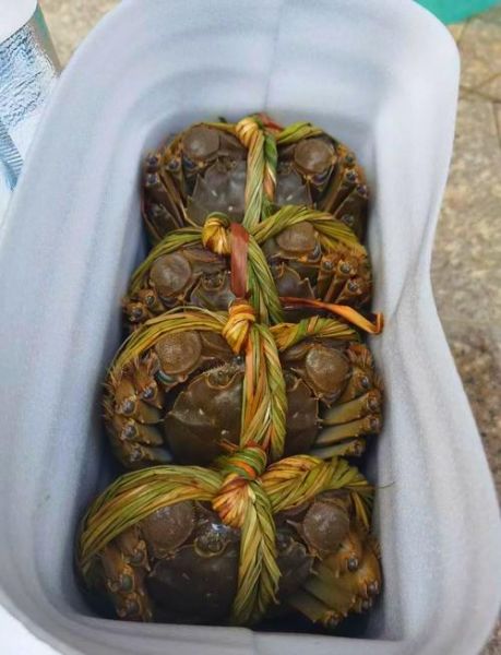 鄱阳湖大闸蟹多少钱一斤_2024最新价格行情-第2张图片-山城妙识 鄱阳湖大闸蟹多少钱一斤_2024最新价格行情-第2张图片-山城妙识