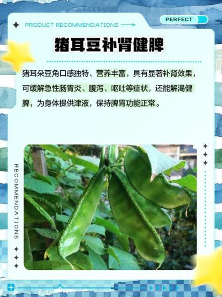 猪耳朵豆角怎么做好吃_猪耳朵豆角的做法大全-第1张图片-山城妙识