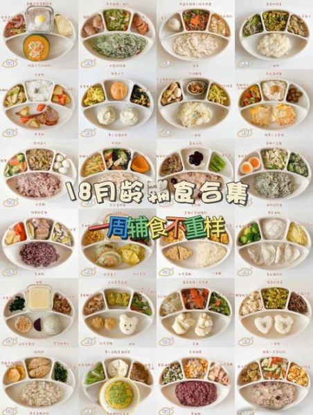 16个月宝宝吃什么辅食_16个月宝宝一天吃几顿-第1张图片-山城妙识