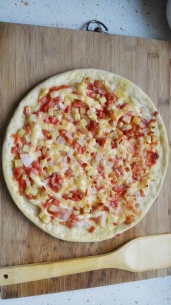 培根比萨电饼铛怎么做_电饼铛做比萨需要几分钟-第3张图片-山城妙识