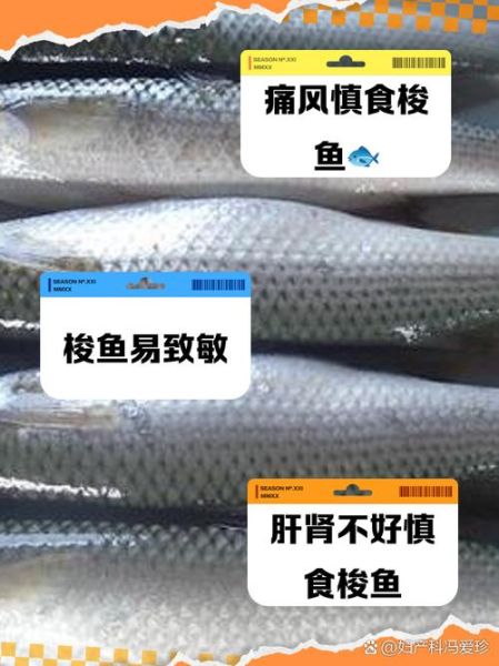 梭鱼用什么饵料钓_梭鱼钓饵配方大全-第3张图片-山城妙识