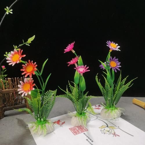 冷菜围边花草有哪些_冷菜围边花草怎么摆-第1张图片-山城妙识