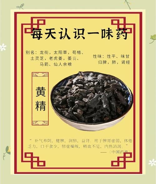 黄精的功效与作用有哪些_黄精的主治功能是什么-第2张图片-山城妙识