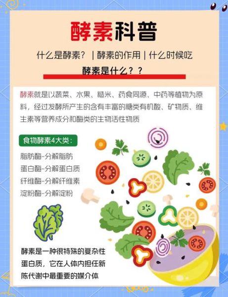 酵素的作用与功效_酵素能减肥吗-第1张图片-山城妙识