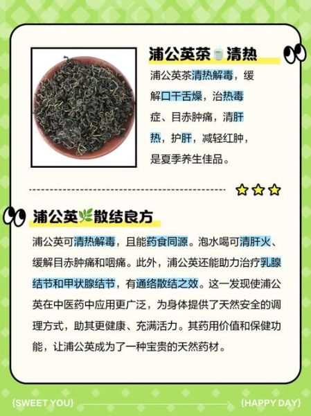 长期喝蒲公英的坏处_蒲公英泡水禁忌-第1张图片-山城妙识