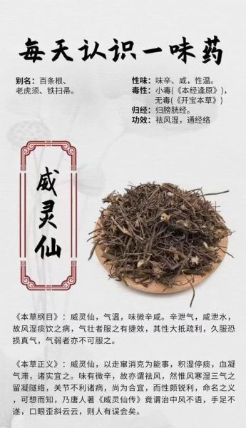 野生威灵仙图片_如何辨别真假-第3张图片-山城妙识