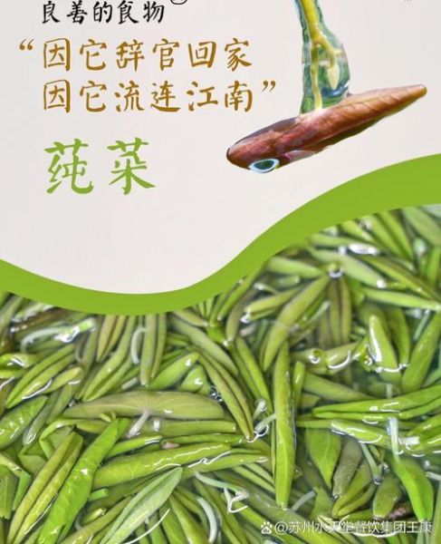 太湖莼菜的功效与禁忌_孕妇能吃吗-第1张图片-山城妙识