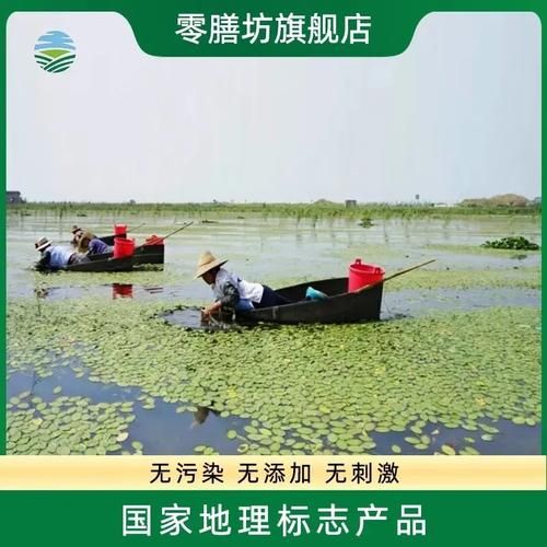 太湖莼菜的功效与禁忌_孕妇能吃吗-第3张图片-山城妙识