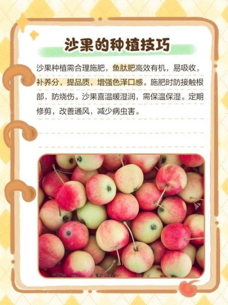 沙果树几年结果_沙果树怎么修剪-第2张图片-山城妙识 沙果树几年结果_沙果树怎么修剪-第2张图片-山城妙识