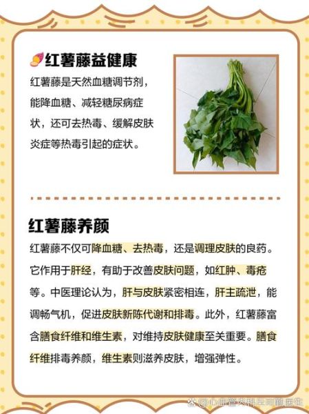 蕃薯藤有营养吗_蕃薯藤怎么吃最健康-第1张图片-山城妙识